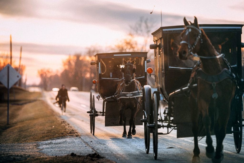Home | The Amish-Buggy - Great prices on all Amish products